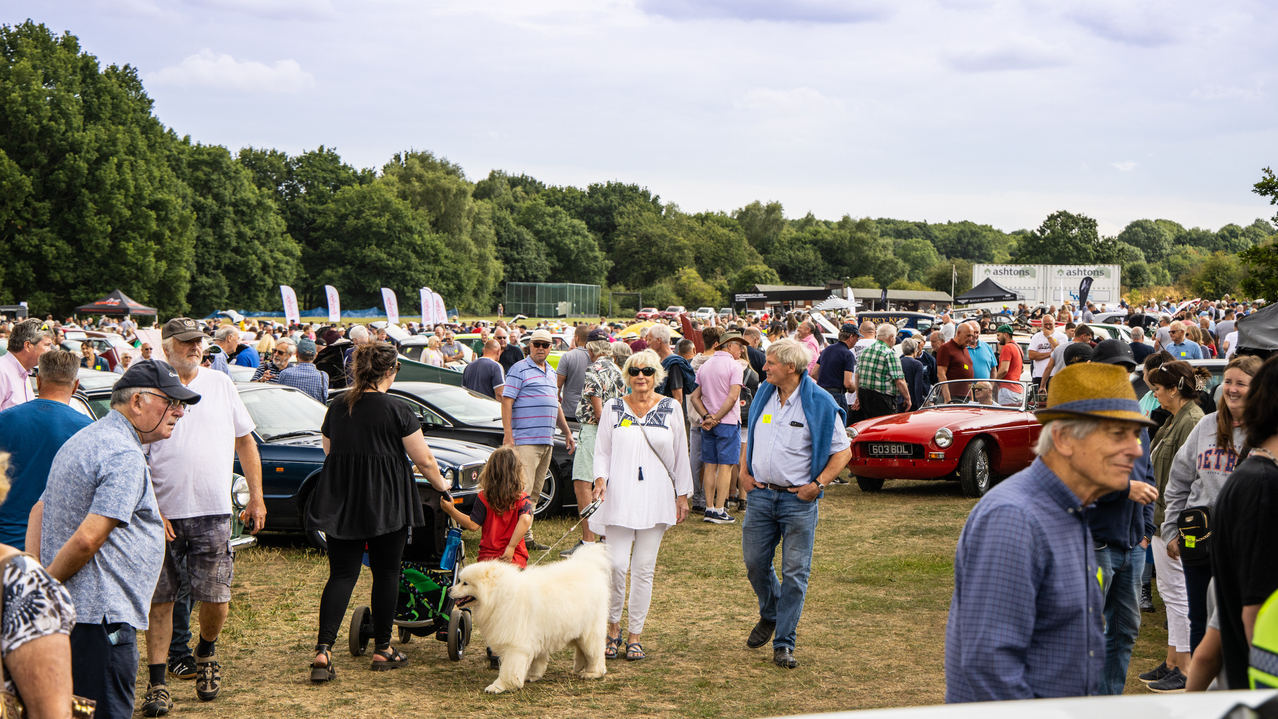 History – Classics on the Common